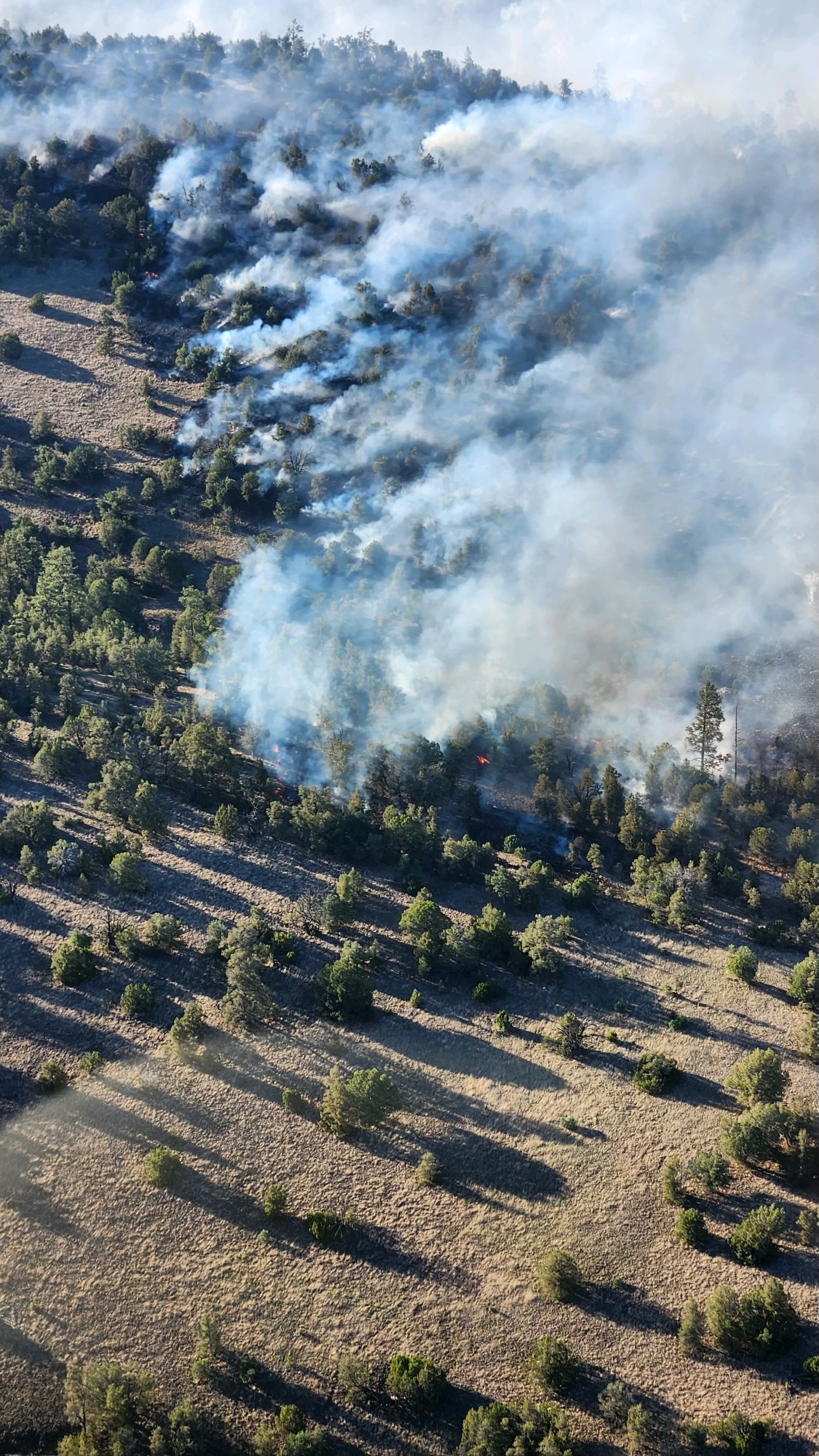 Nmgnf Pass Fire Information | InciWeb