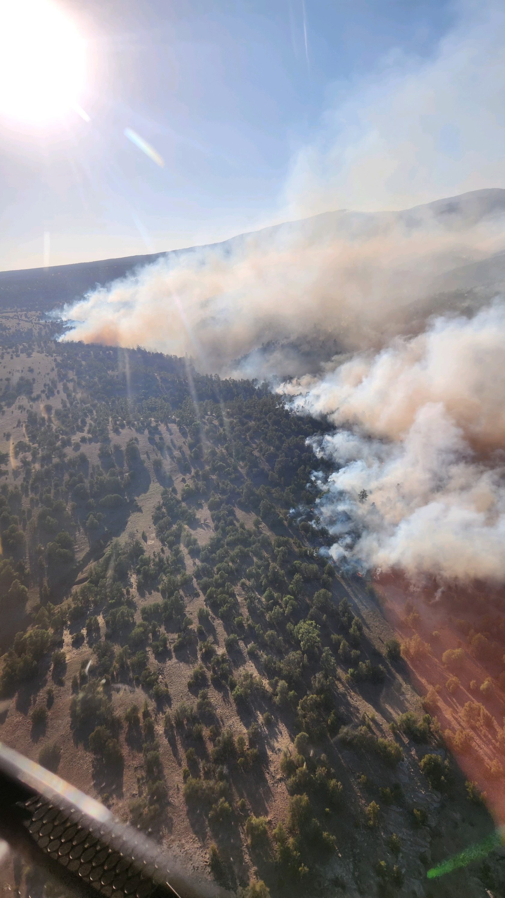 Nmgnf Pass Fire Information | InciWeb