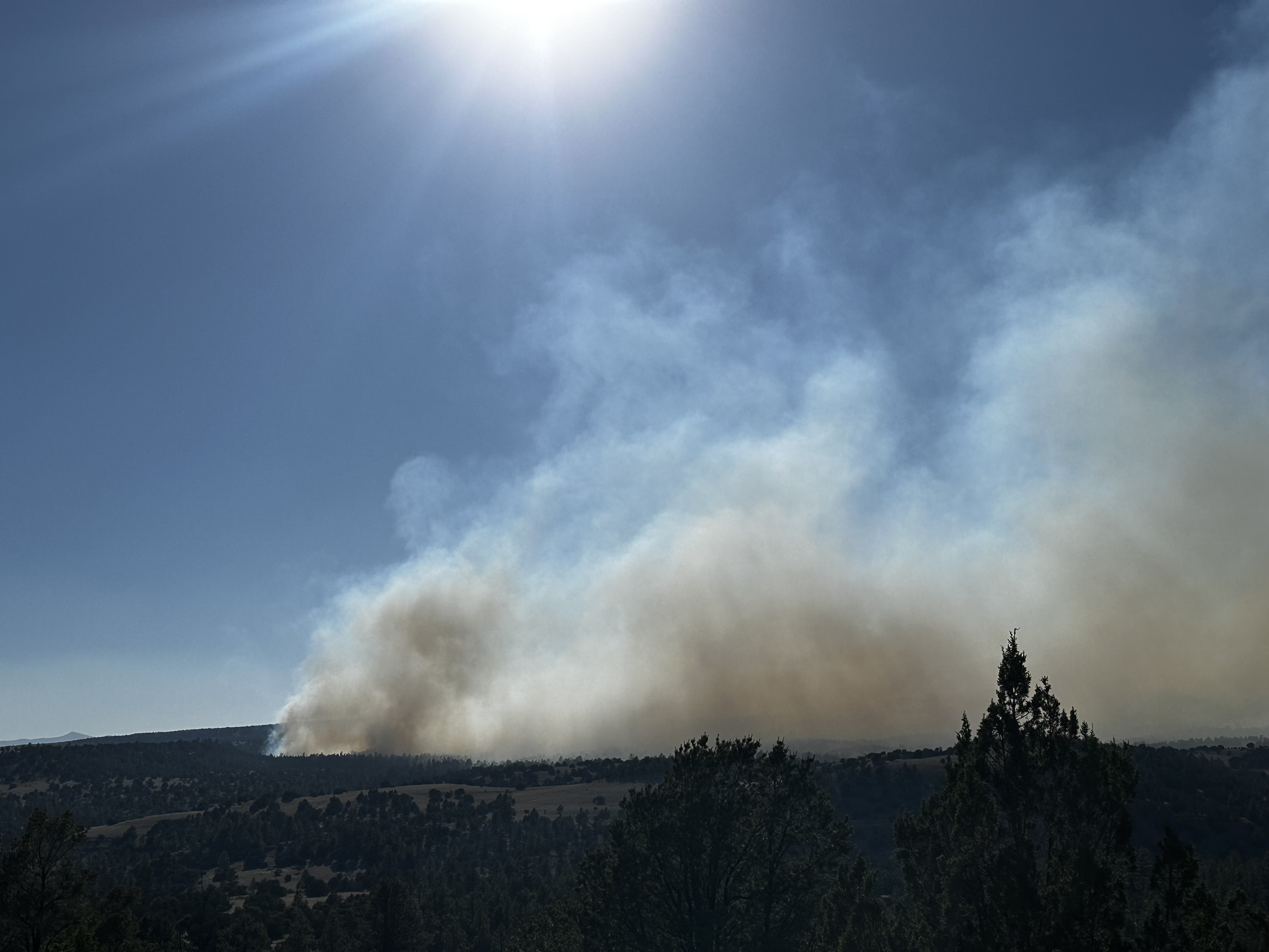 Nmgnf Pass Fire Information | InciWeb