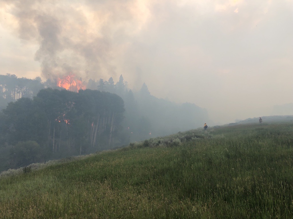 Cogmf Lowline Fire Information | InciWeb