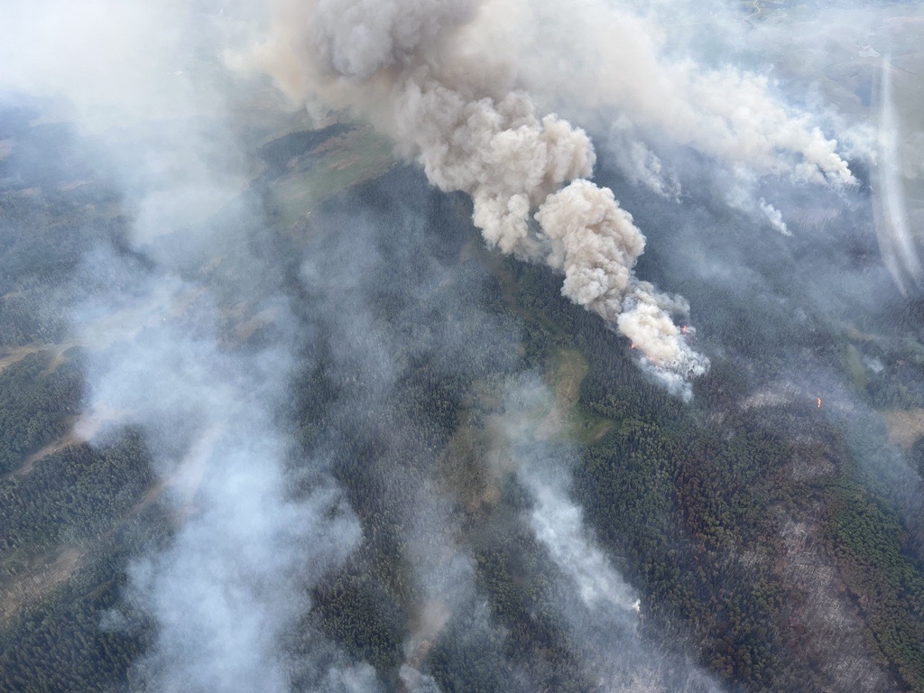 Cogmf Lowline Fire Information | InciWeb