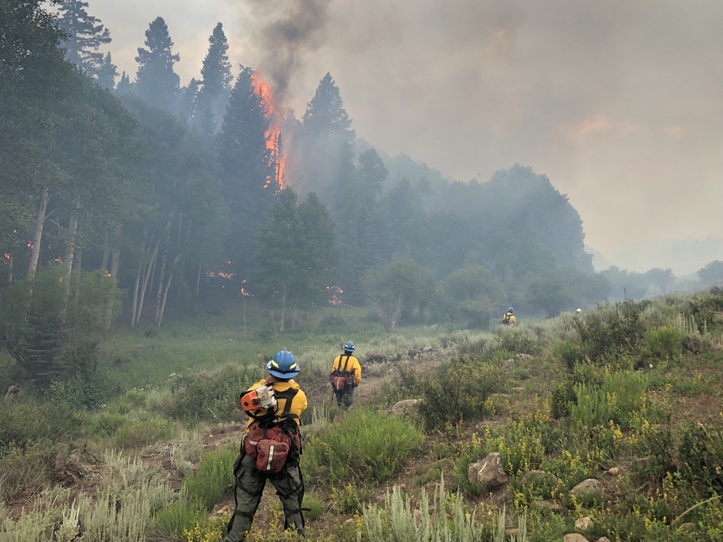 Cogmf Lowline Fire Information | InciWeb