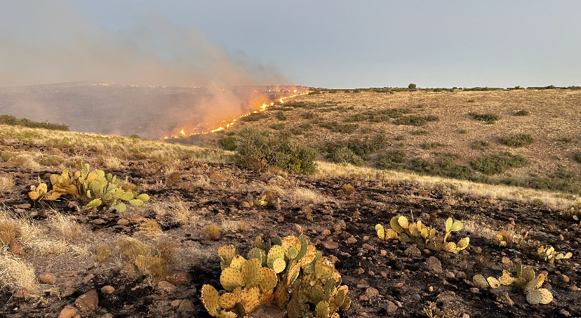 Aza5S Pilot Fire Information | InciWeb