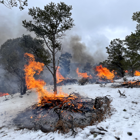 Prescribed Fire | InciWeb
