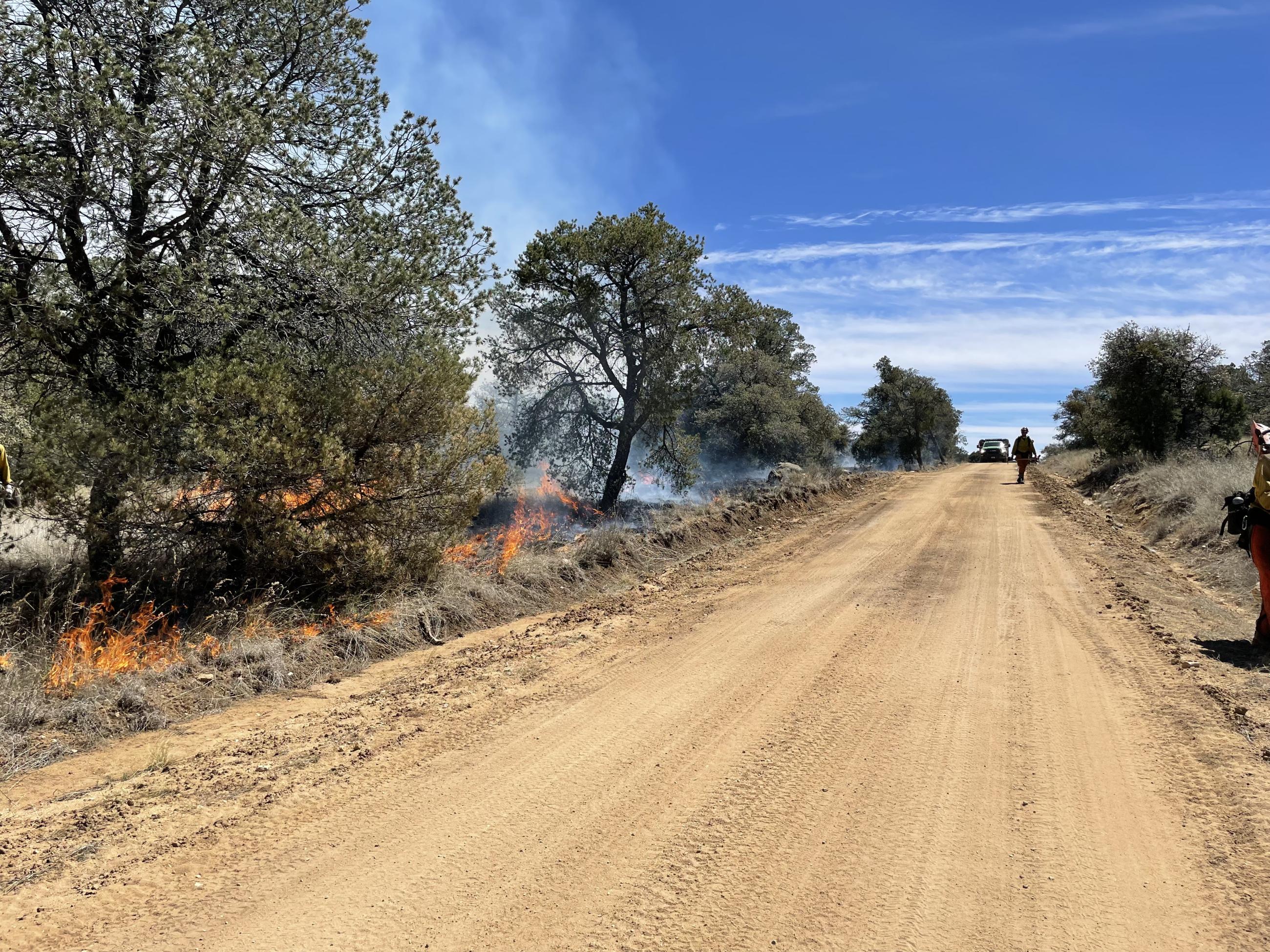Nmgnf Willow Prescribed Fire Incident Photographs | InciWeb