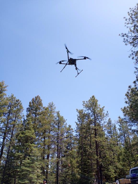 Nmsnf Indios Wildfire Incident Photographs | InciWeb Nmsnf Indios Wildfire Incident Photographs | InciWeb