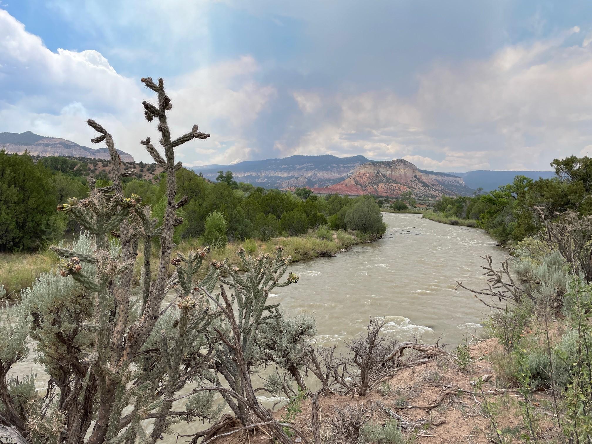 Nmsnf Indios Wildfire Incident Photographs | InciWeb Nmsnf Indios Wildfire Incident Photographs | InciWeb