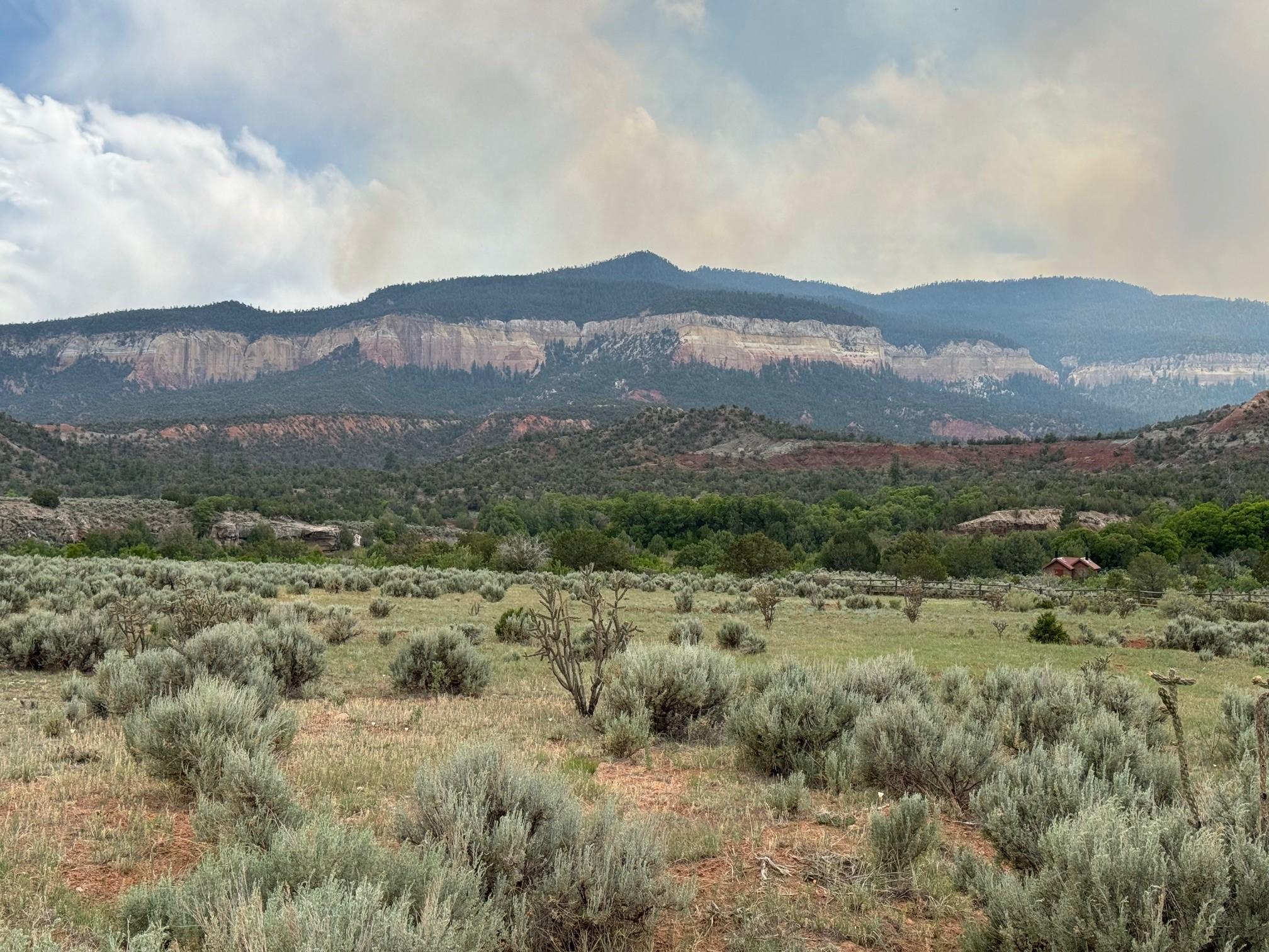 Nmsnf Indios Wildfire Incident Photographs | InciWeb Nmsnf Indios Wildfire Incident Photographs | InciWeb