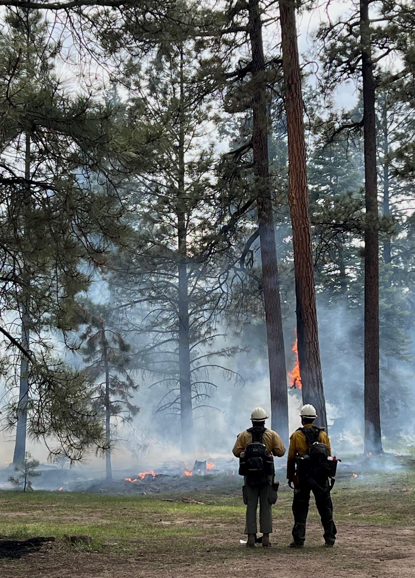 Nmsnf Indios Wildfire Incident Photographs | InciWeb Nmsnf Indios Wildfire Incident Photographs | InciWeb