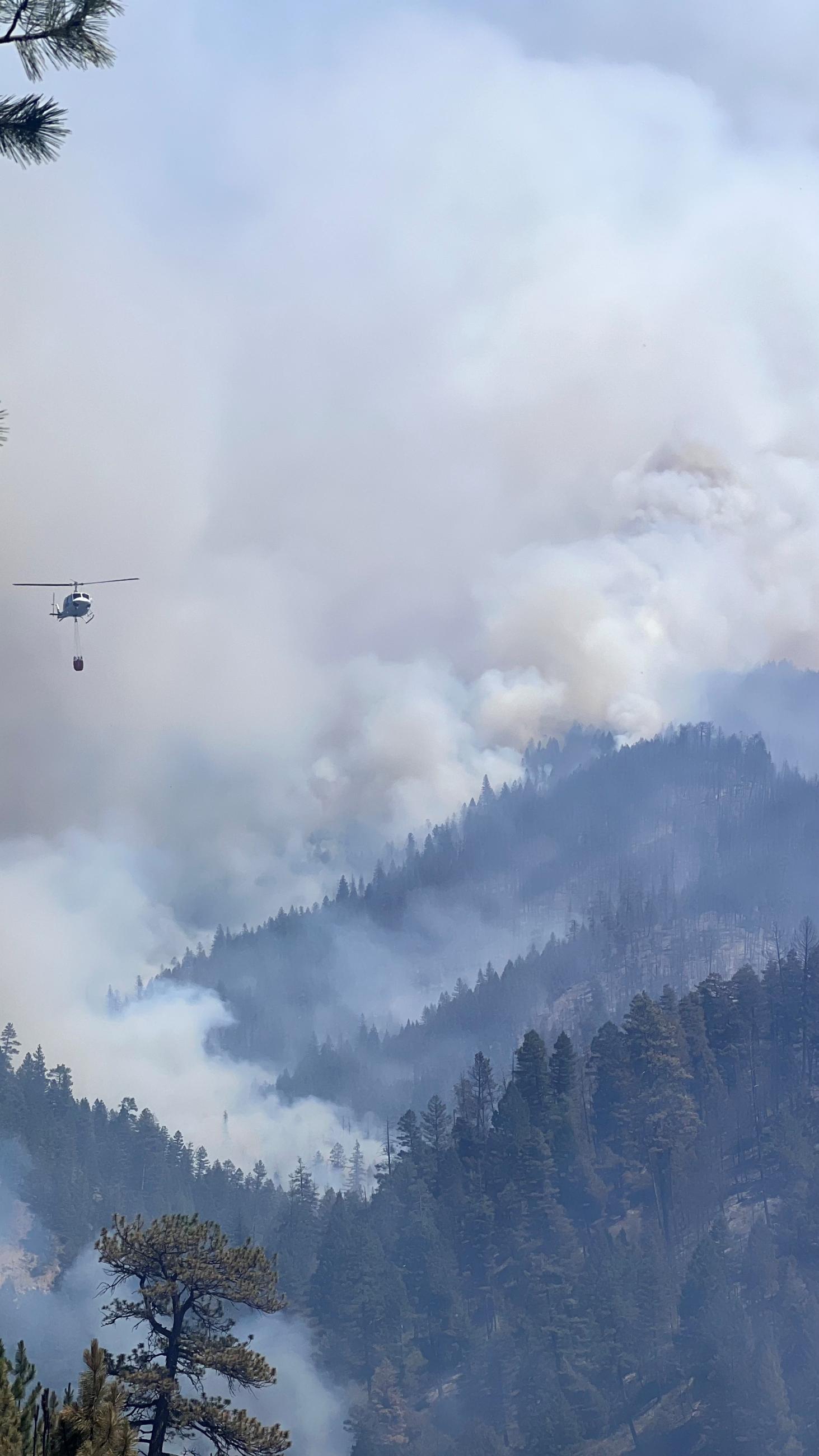 Mtlnf Miller Peak Fire Information | InciWeb